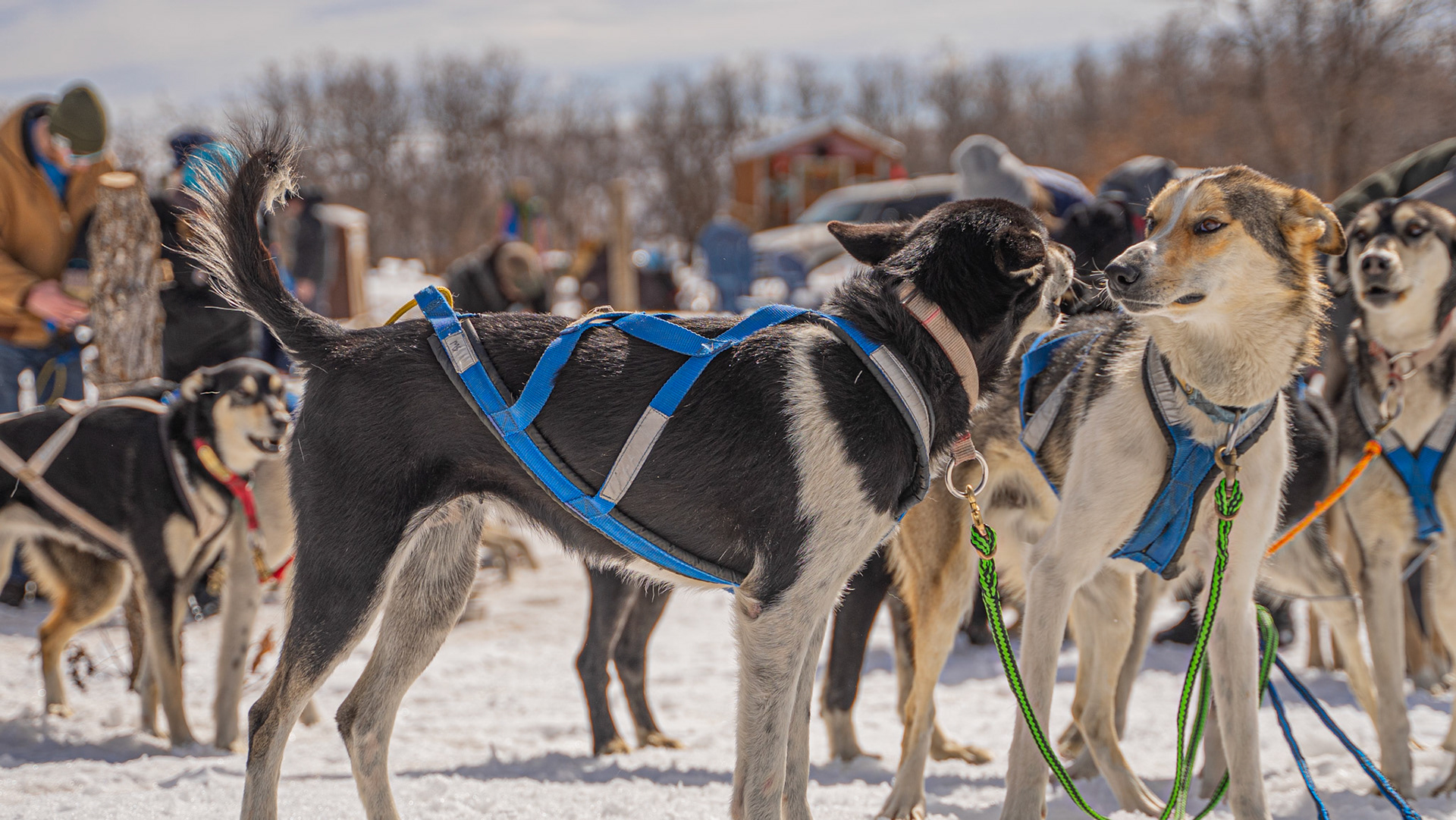 Grumpyhighlander Mountain , Landscape and Adventure Photography ...