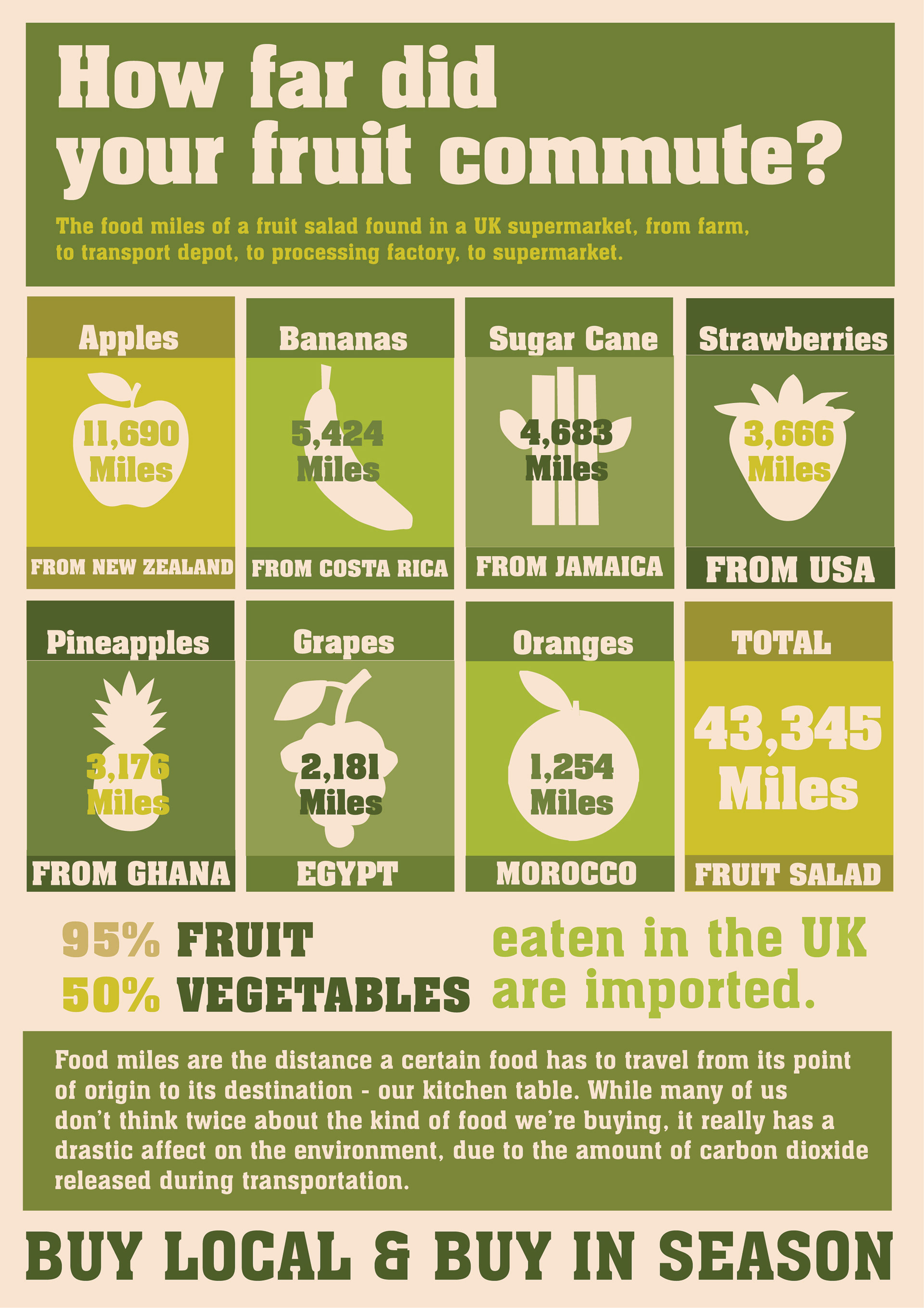 Elizabeth Vessey - Infographics