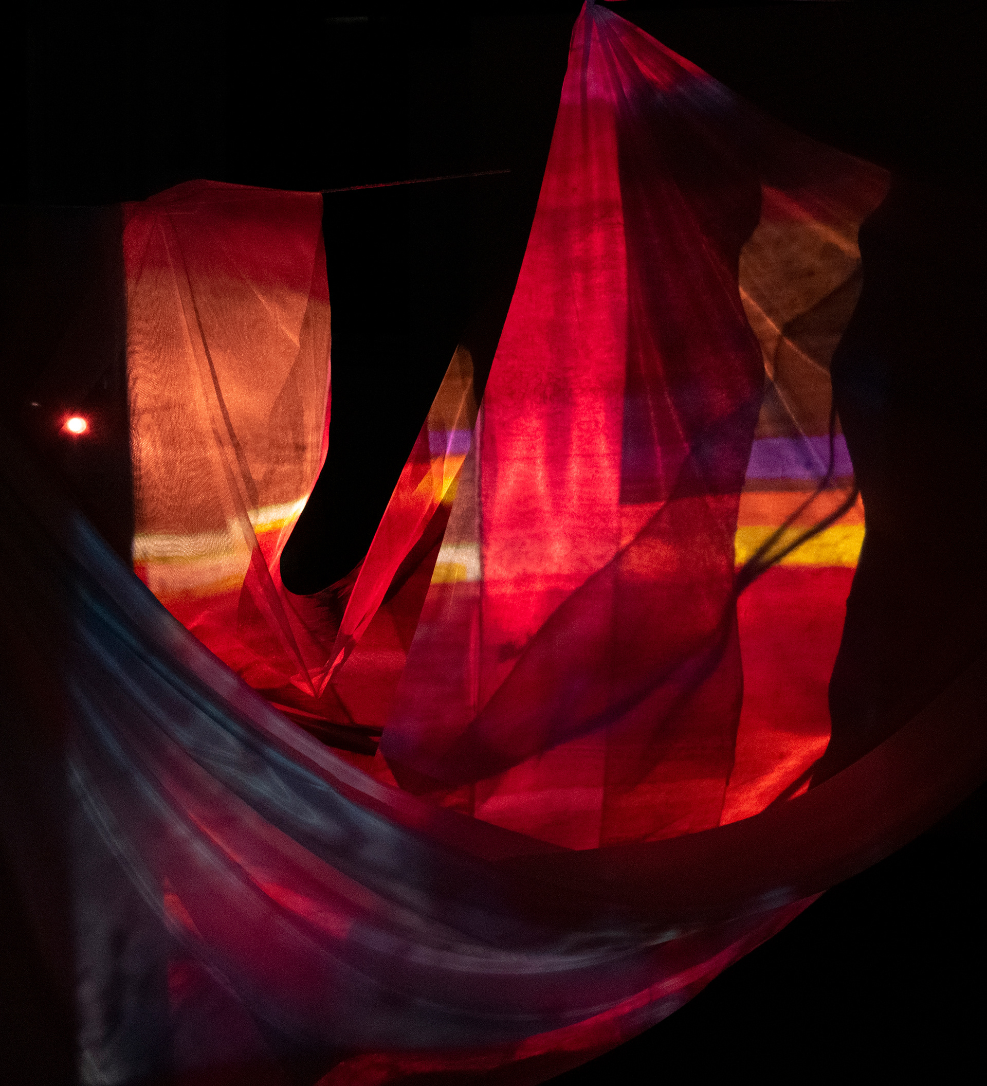 Sally Jennings - Light
