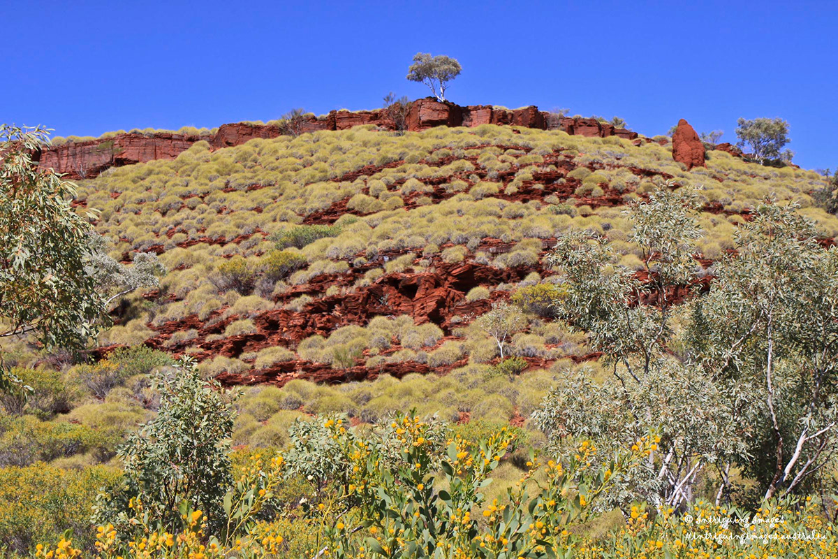Intriguing Images - Pilbara region, Western Australia