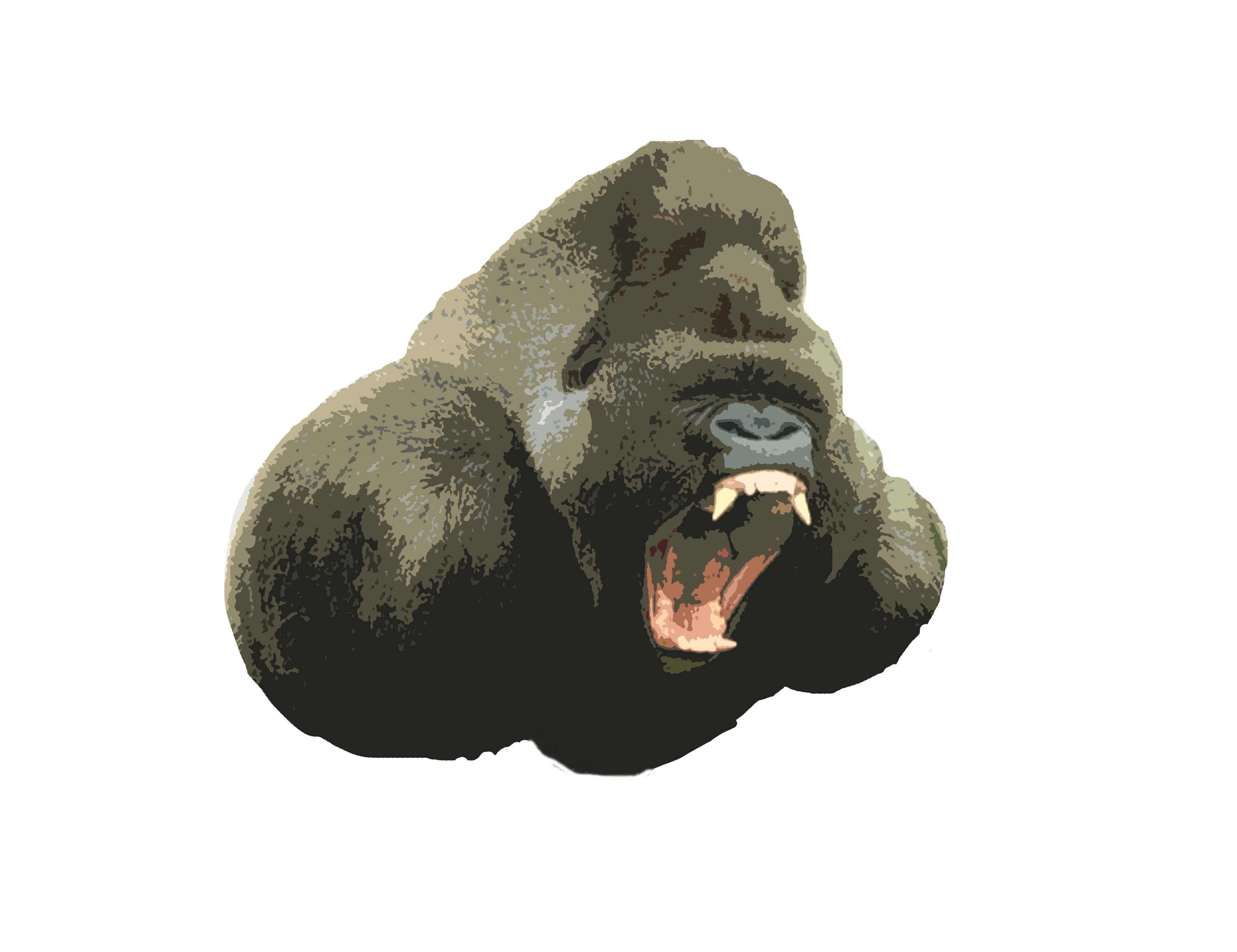 Kyle Rowley - Primal Strength Systems