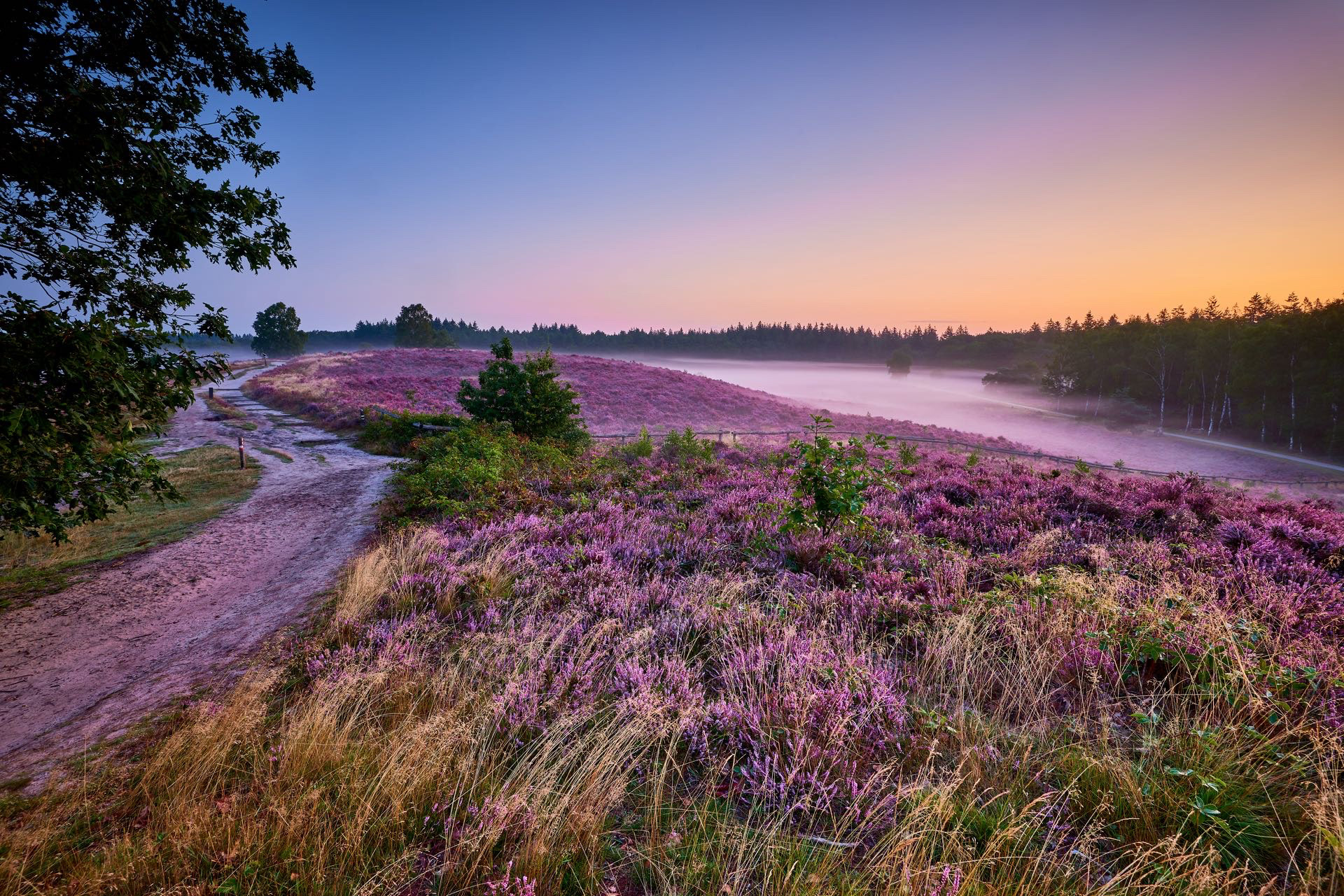 NETHERLANDSCAPES | Danny Tax Creative | Landschapsfotografie ...