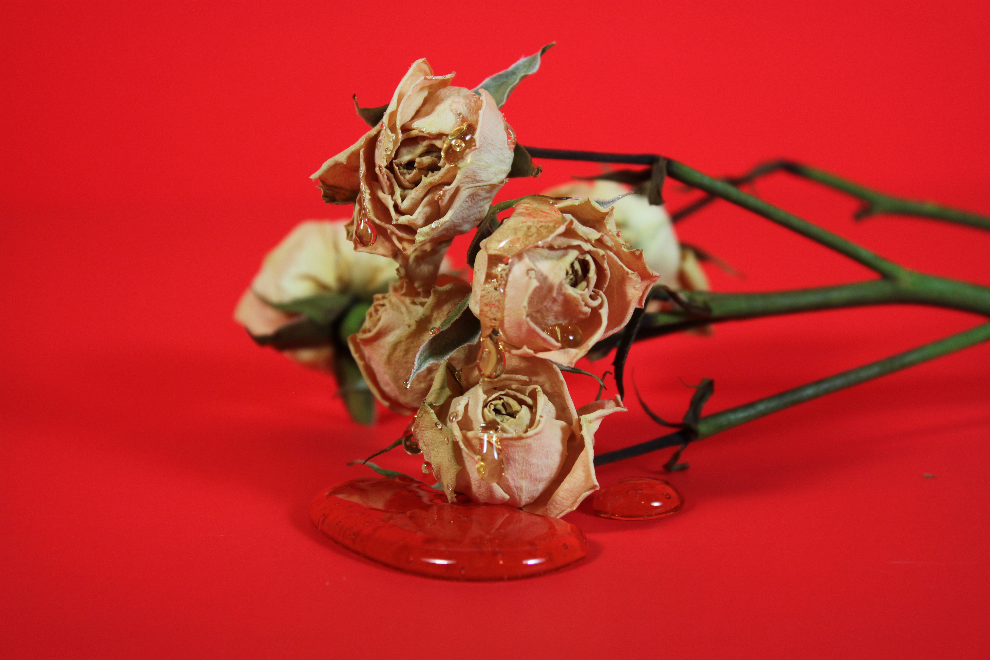 Jennifer Holcomb - Grief