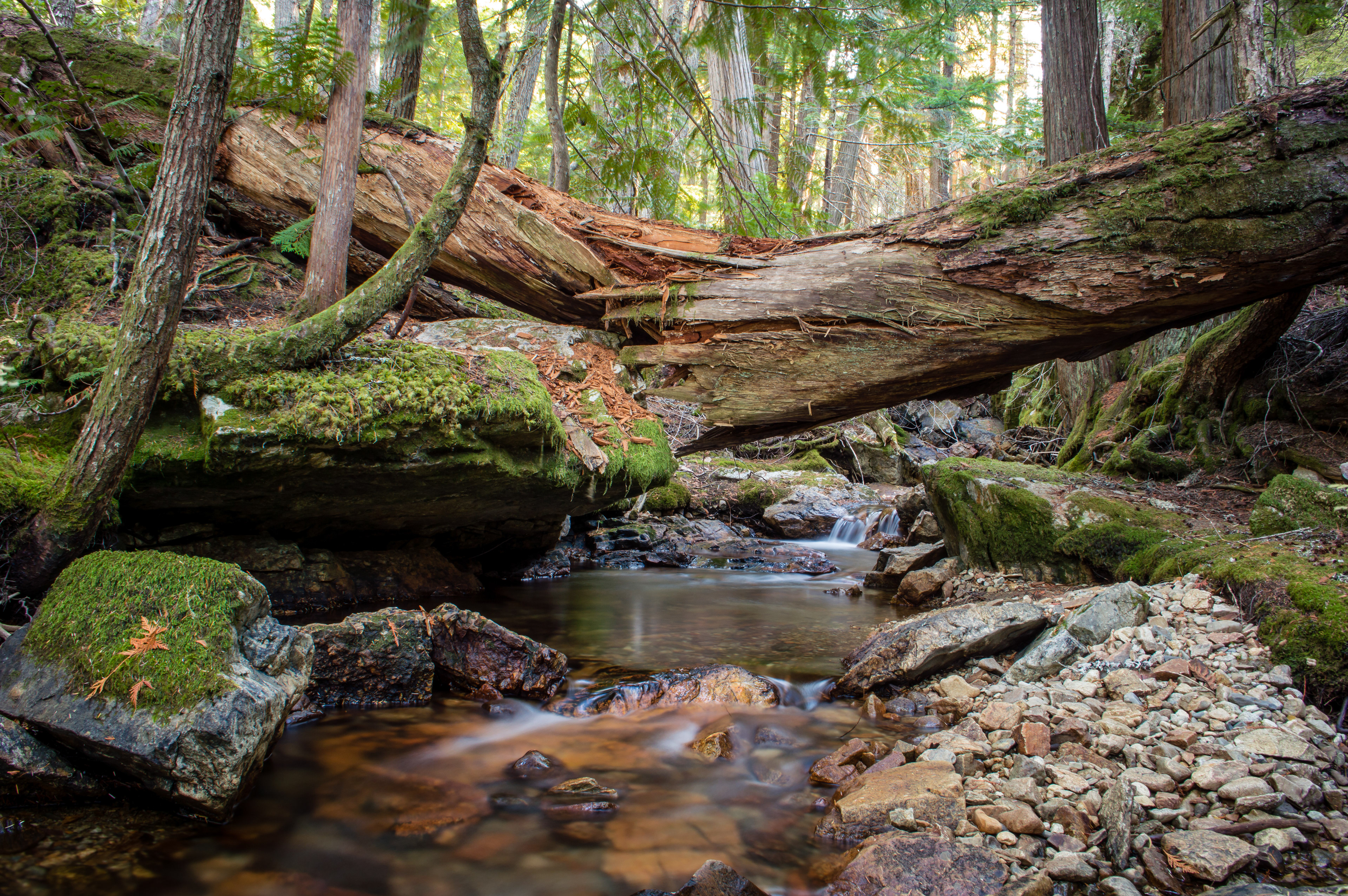 Jordan Yu - Landscapes