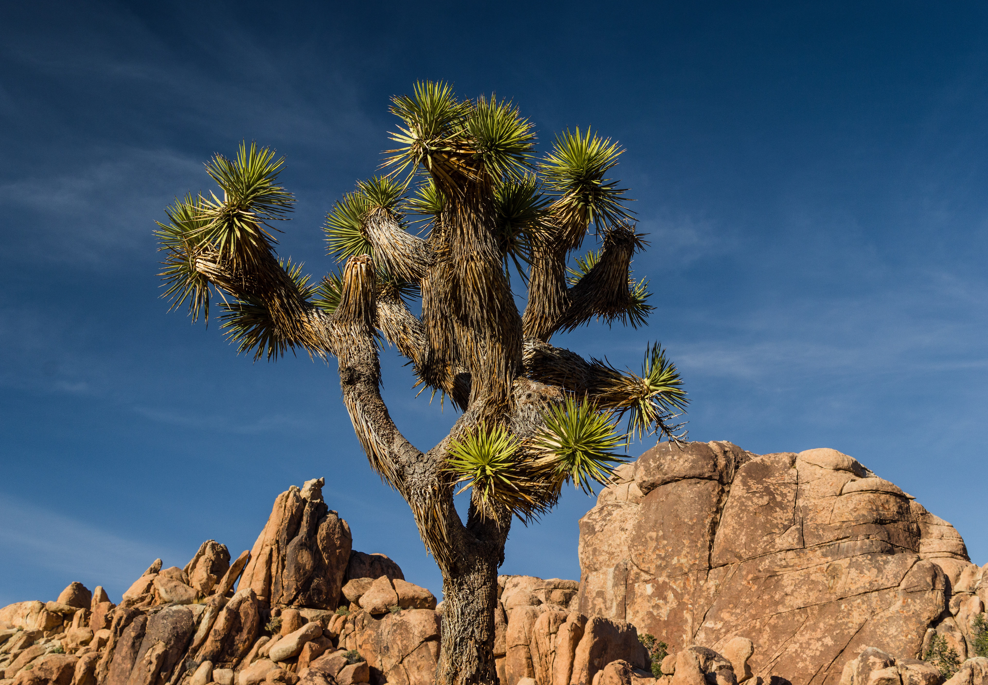 Jordan Yu - Landscapes