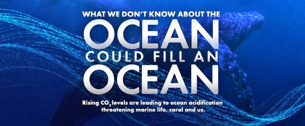 Rob Hollander - Ocean Initiative