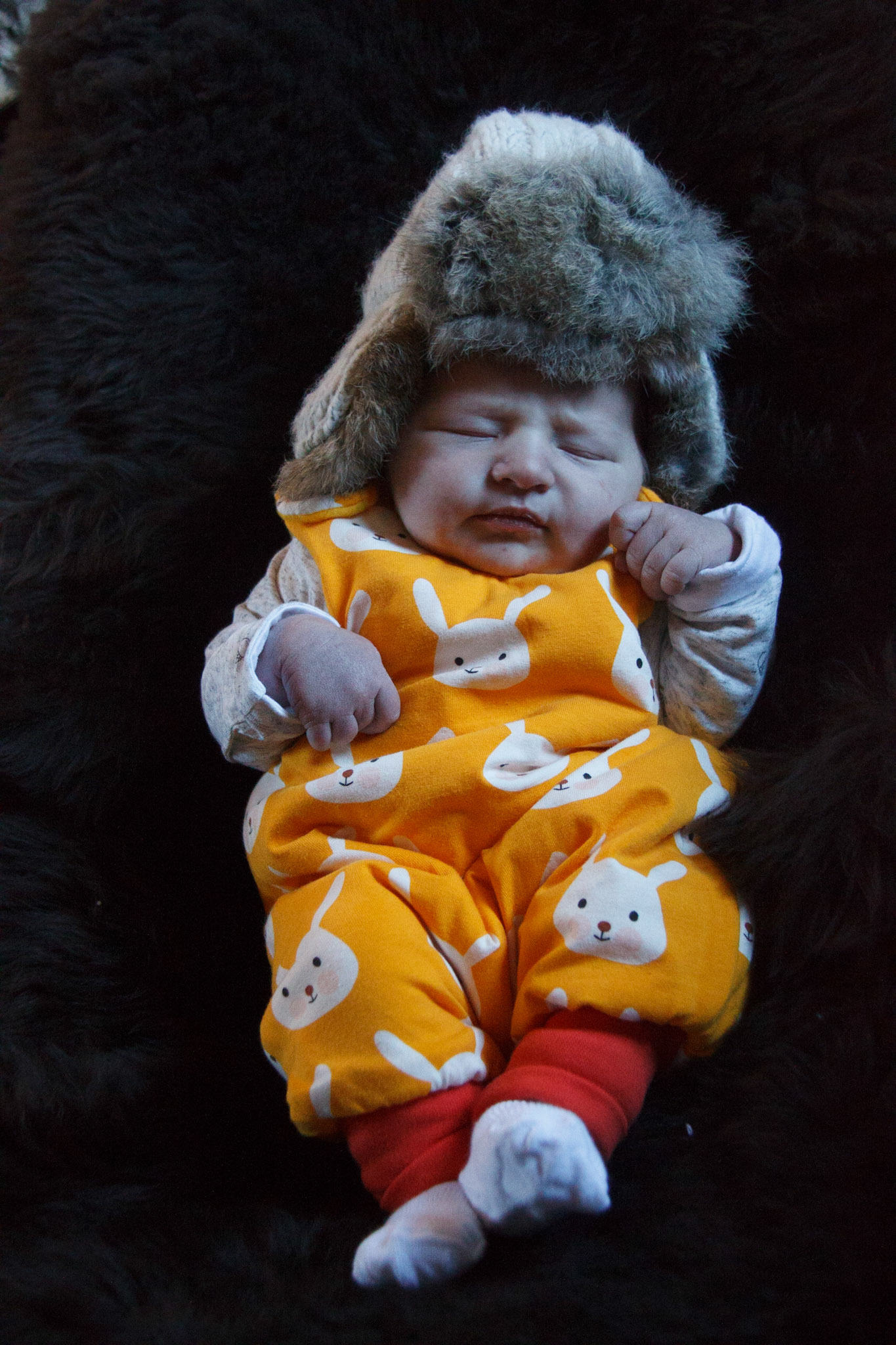 Pete Birrell - Emily