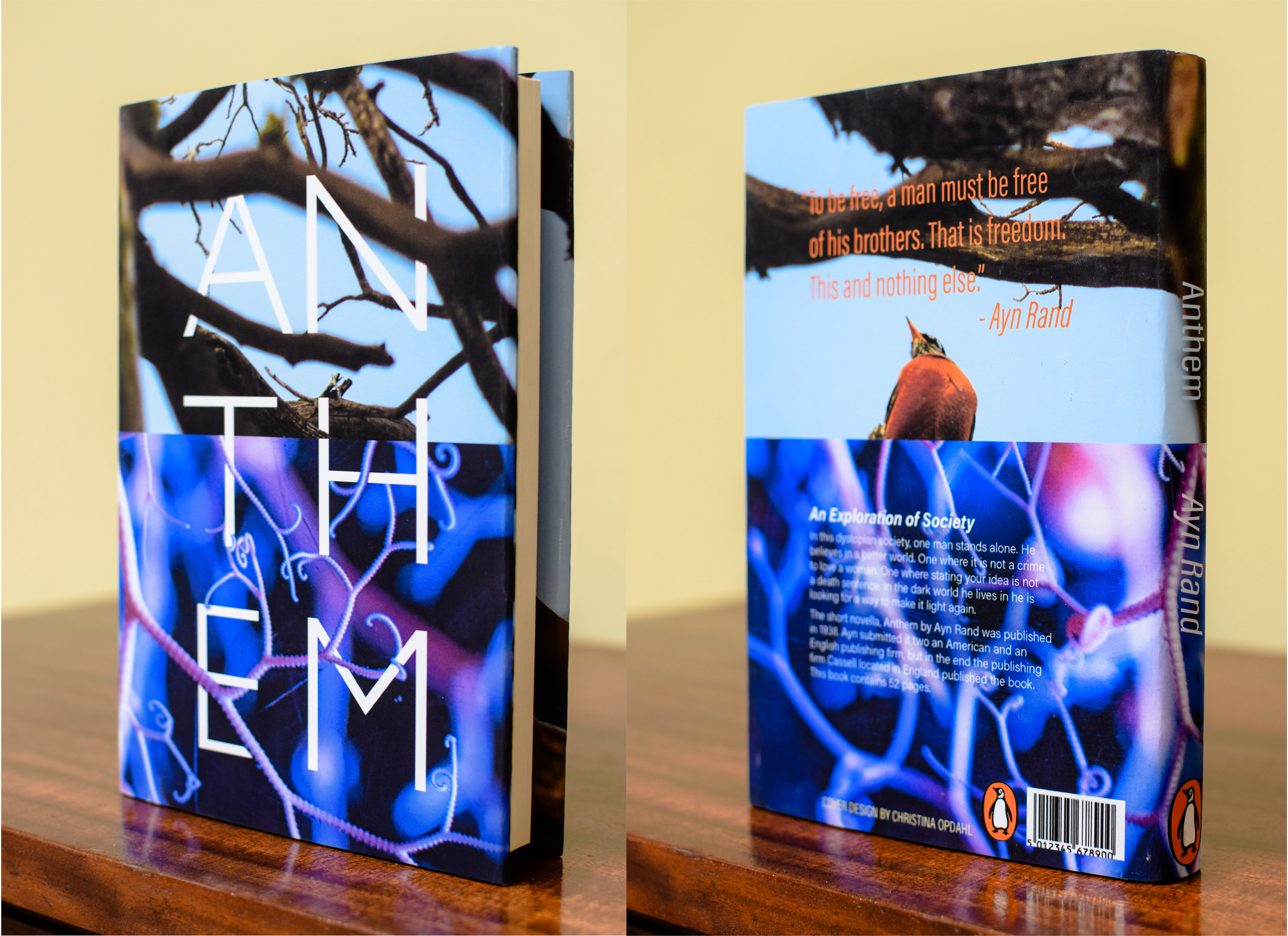 Christina Opdahl - Graphic Designer - Book Series - Covers