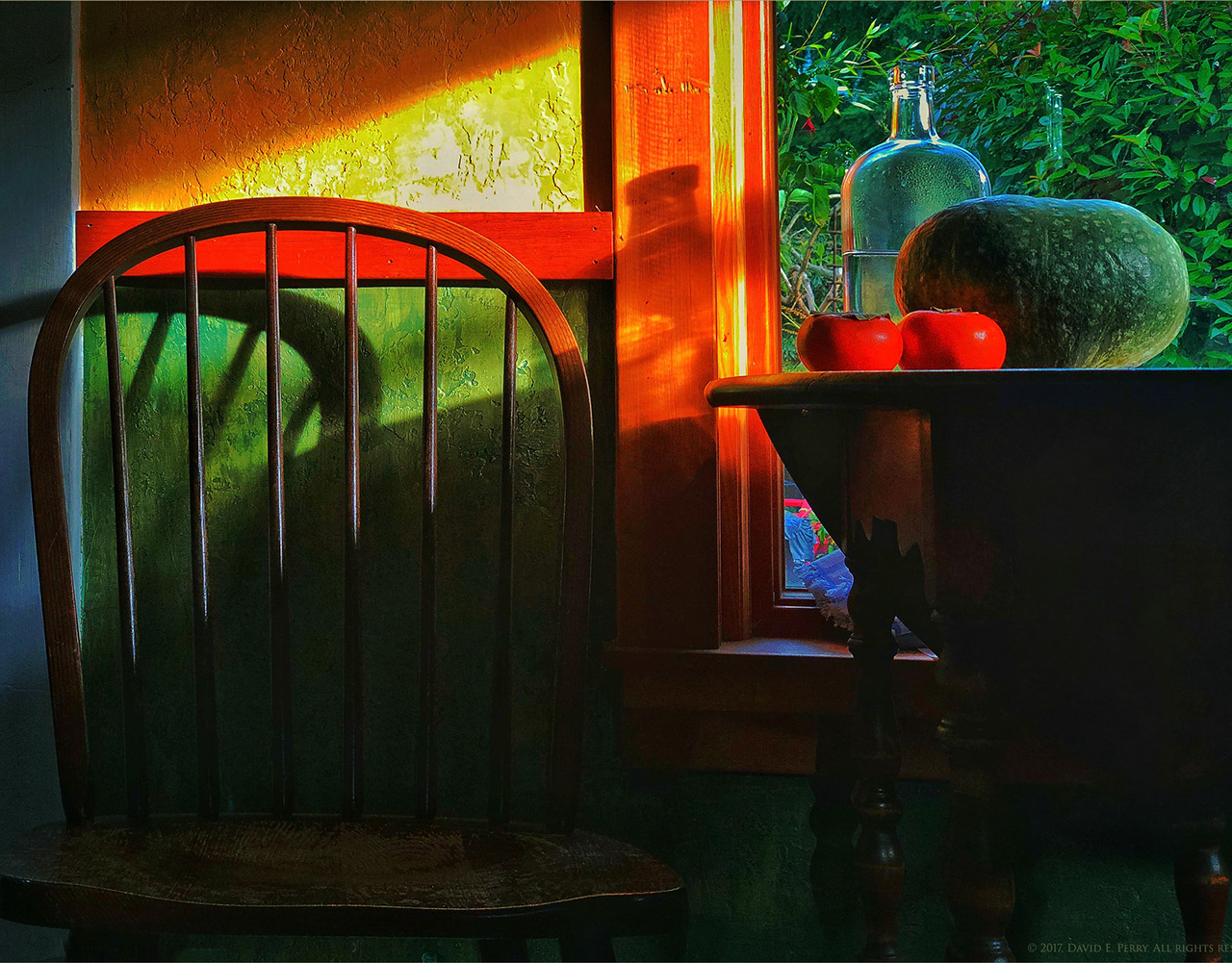 DAVID PERRY PHOTOGRAPHER