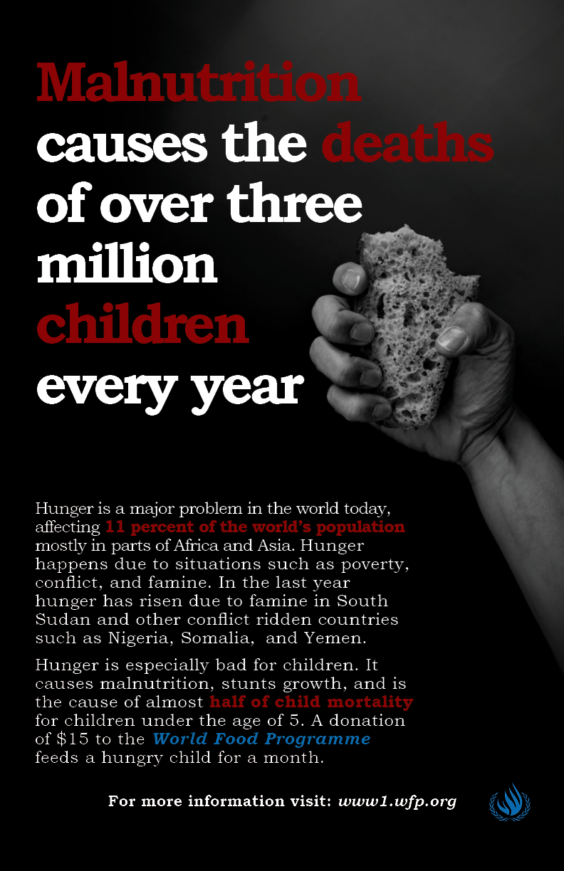 Robin Johnson - Poster: Globe Issues - Malnutrition