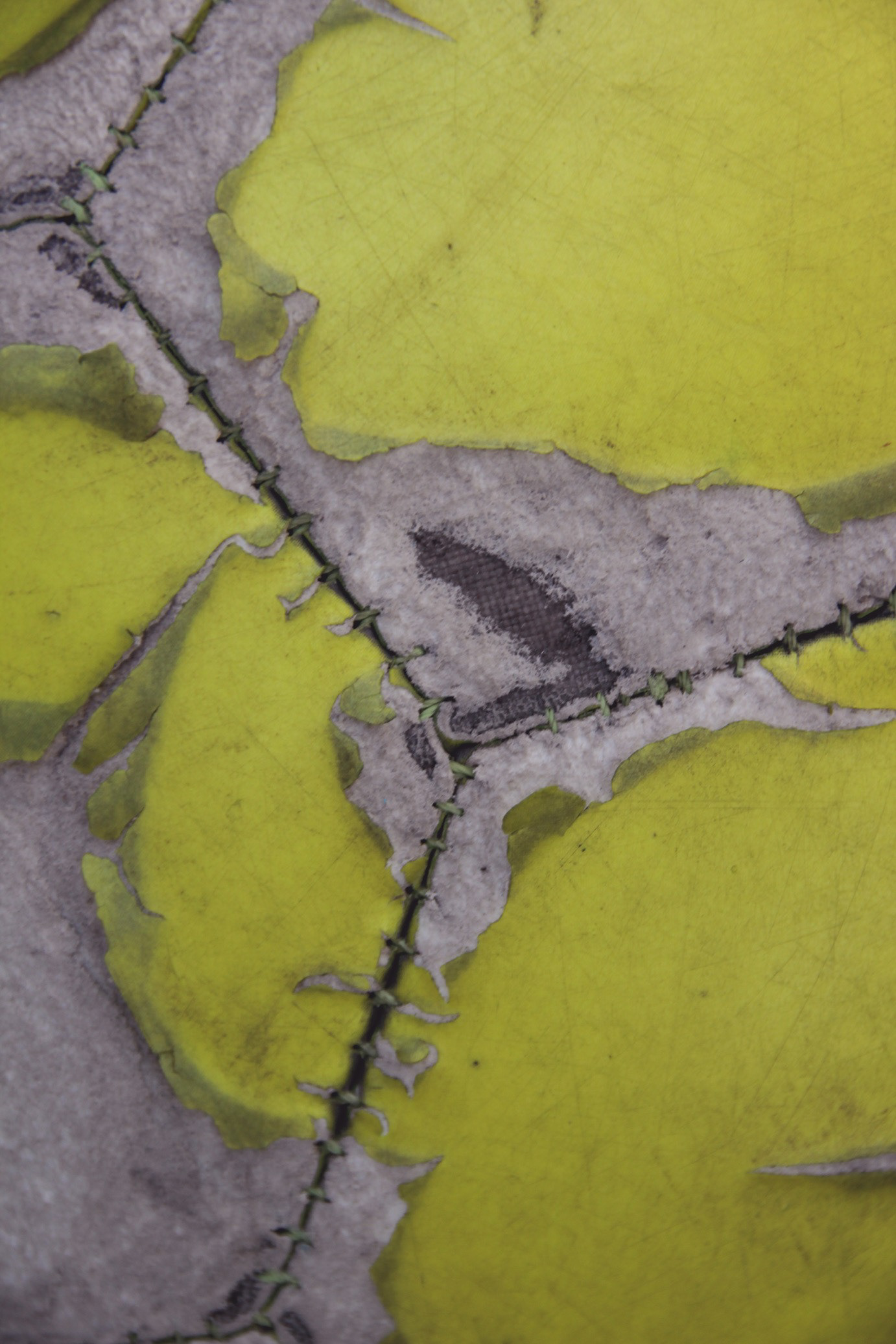 Bernardo Ramonfaur / Portfolio - PIEDRA RODANTE / Photography