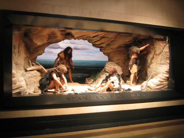 Bridget McGuire - Night at the Museum