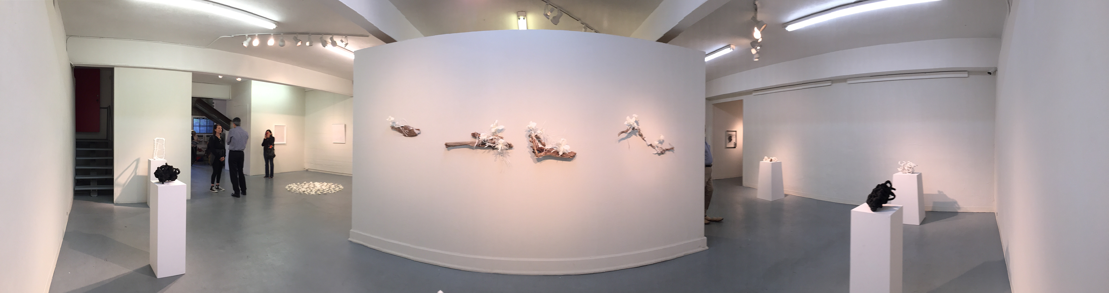 William Wang Studio Shows