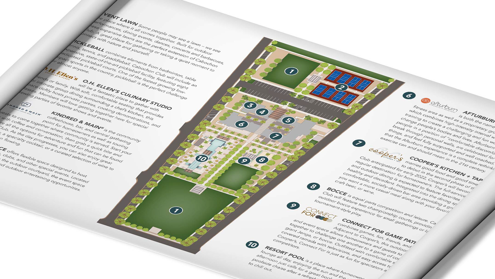 Natalie Mahoney - Live Your Story Brochure Series