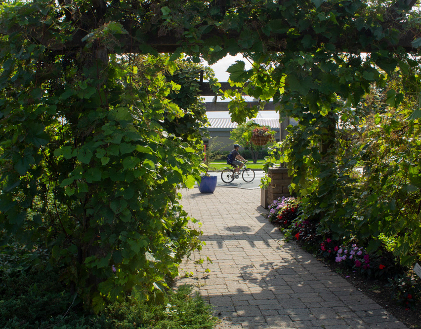 Alexandra Falk - PHOTOGRAPHY