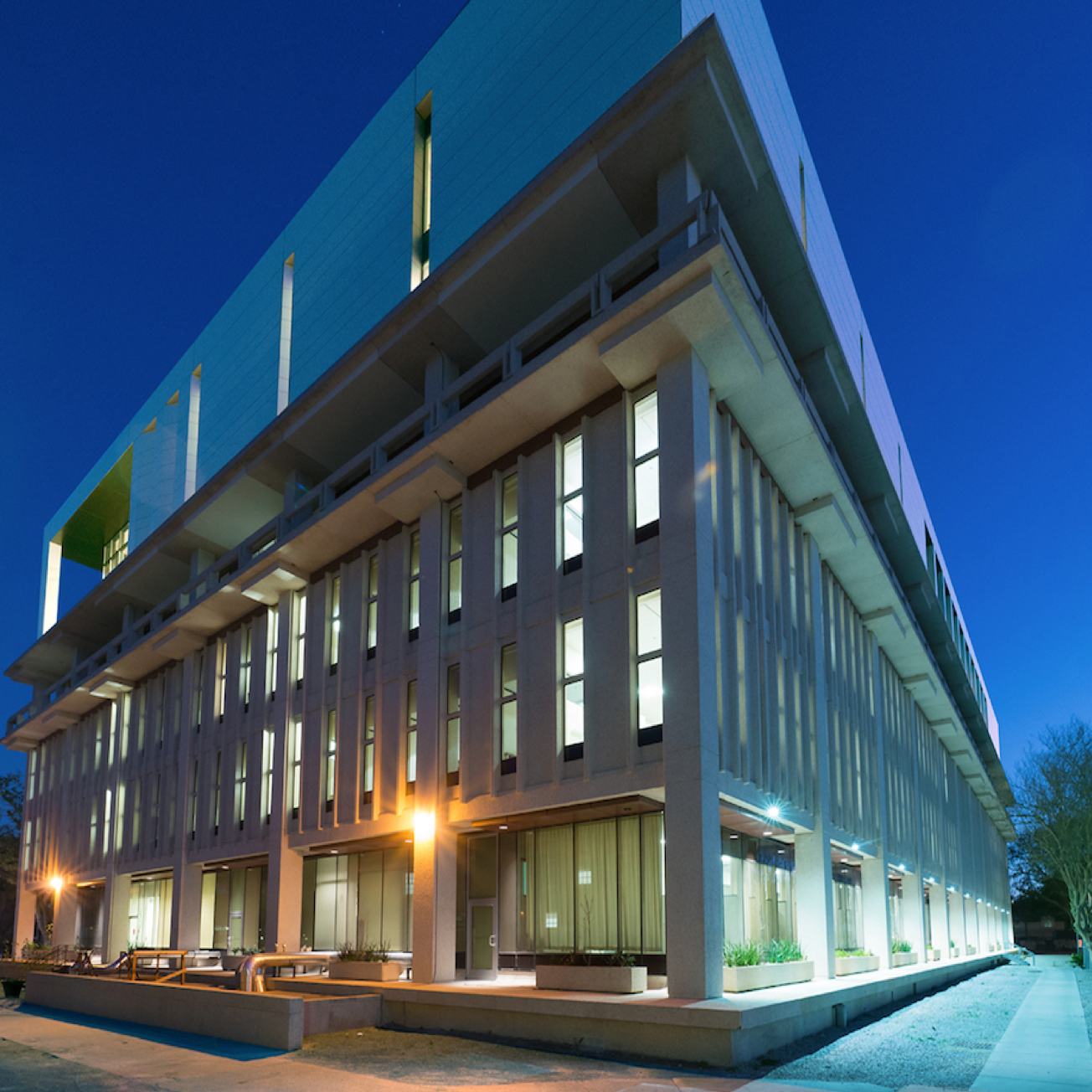 Lauren Ferrand - Tulane Library