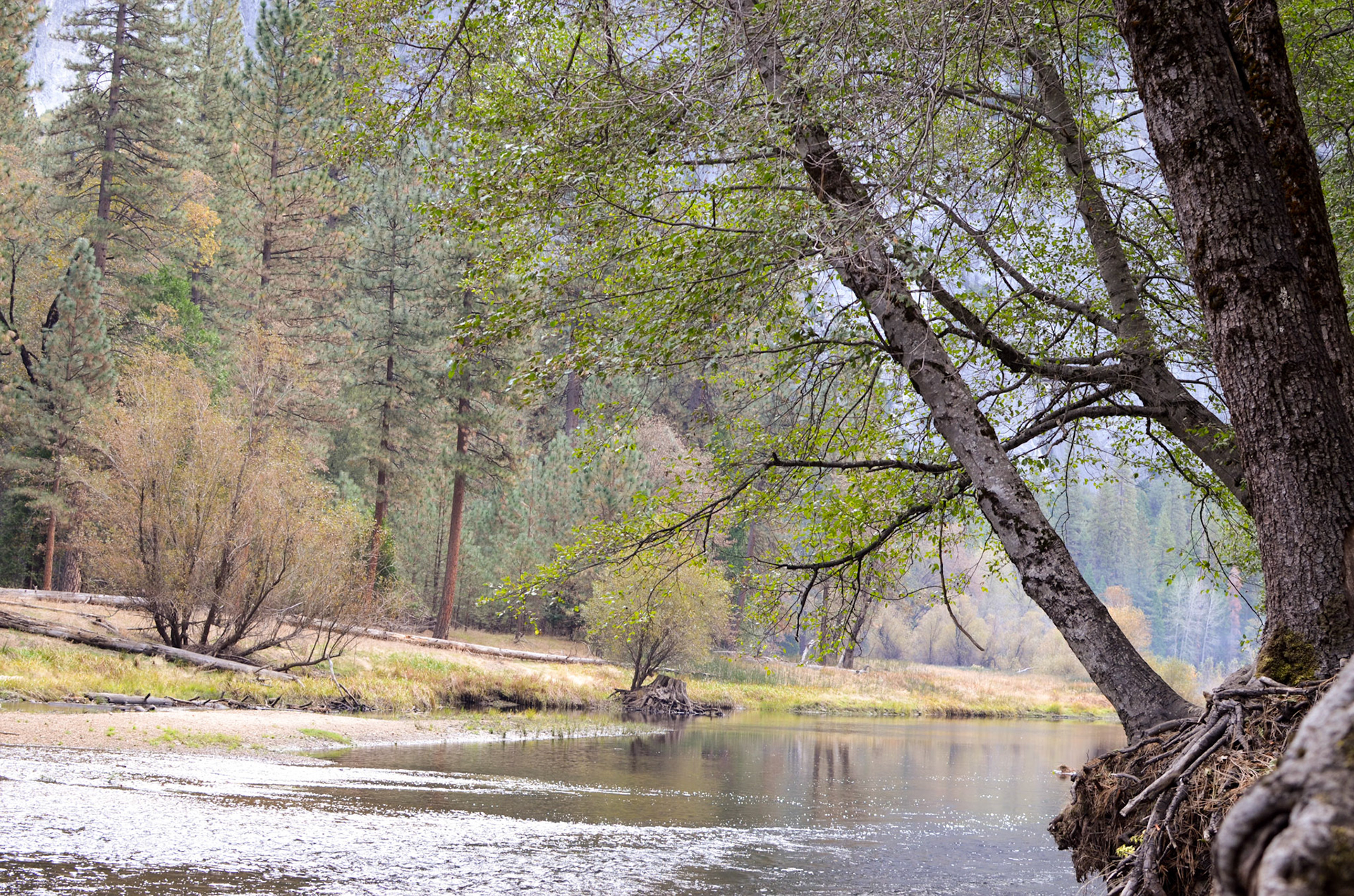JeTyMe Images by Jeffrey Tyler Mette - Yosemite