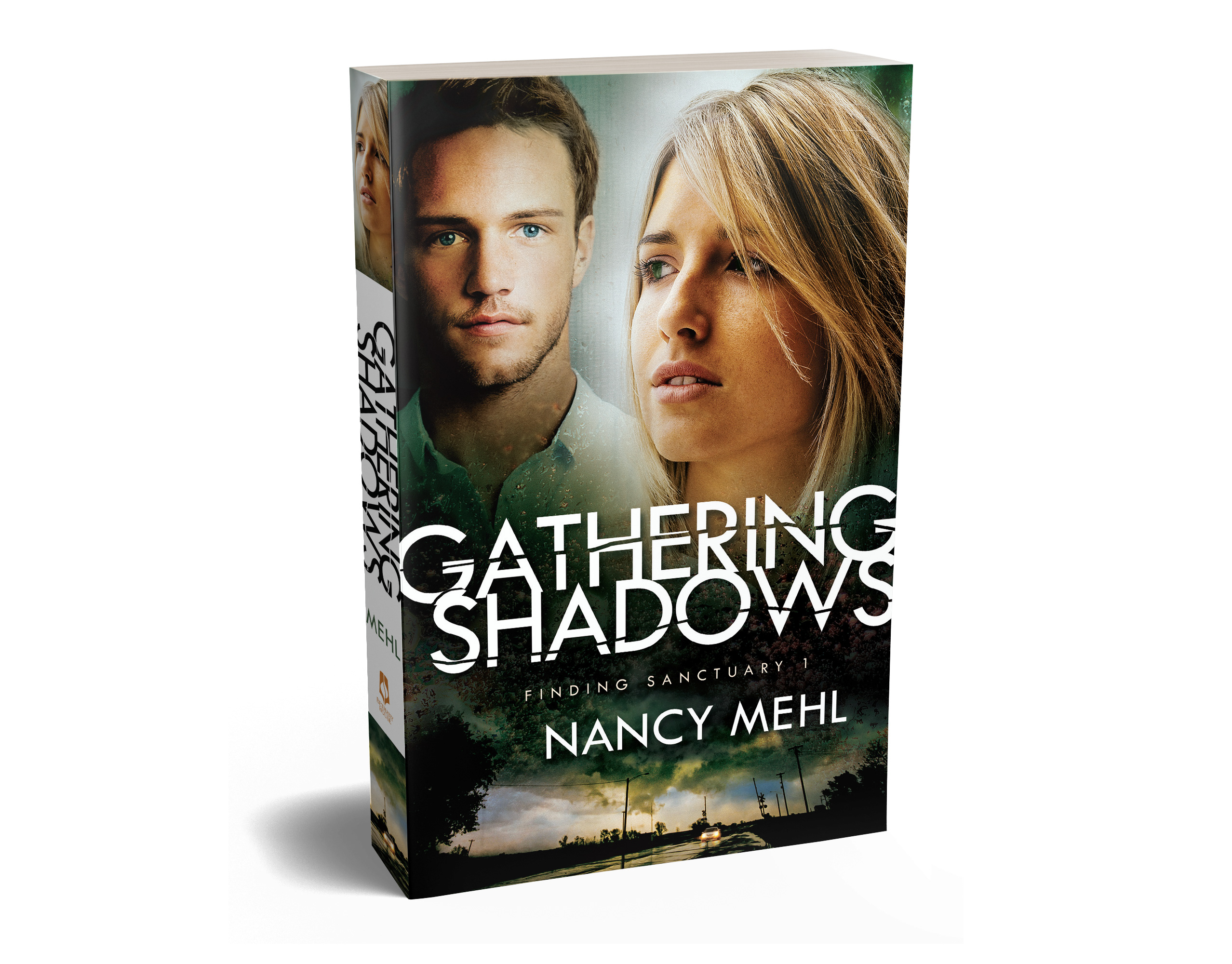 Dan Pitts - GATHERING SHADOWS