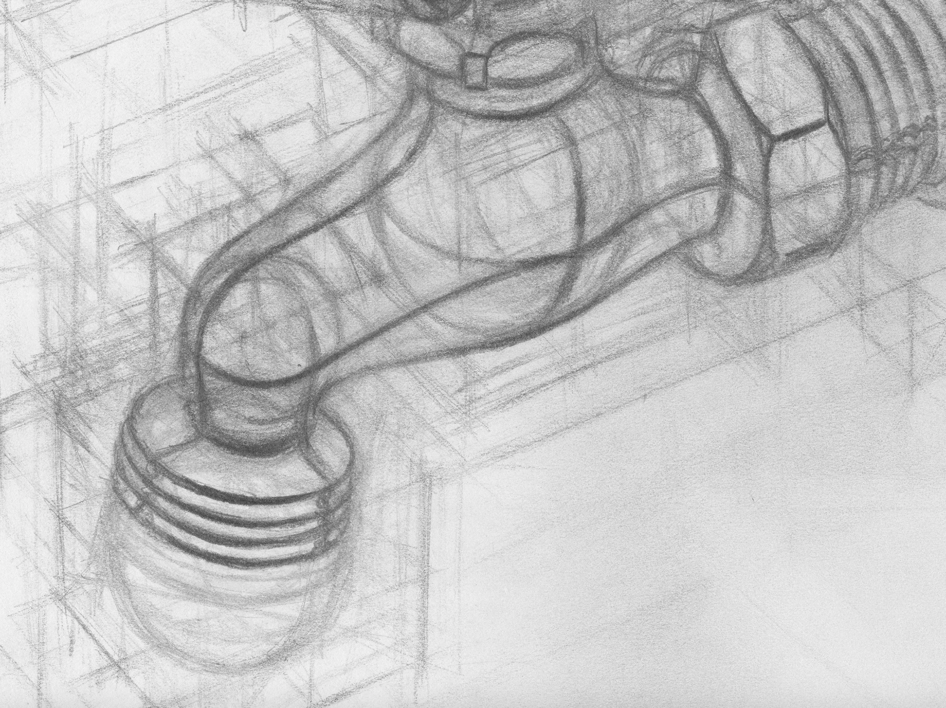 Cecilia Ramey - Complex Object Drawing