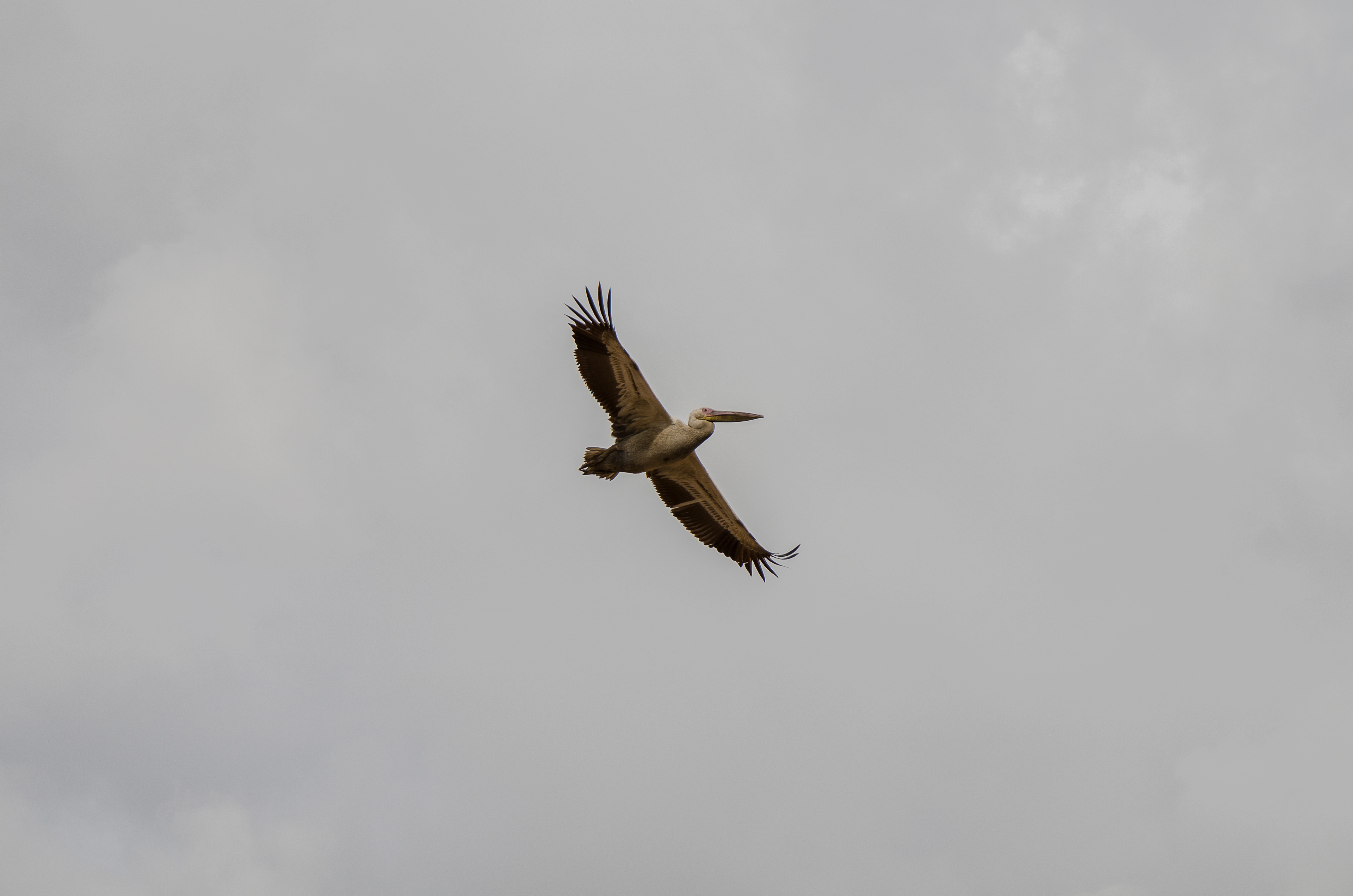 Paul Stander - International Exhibitions