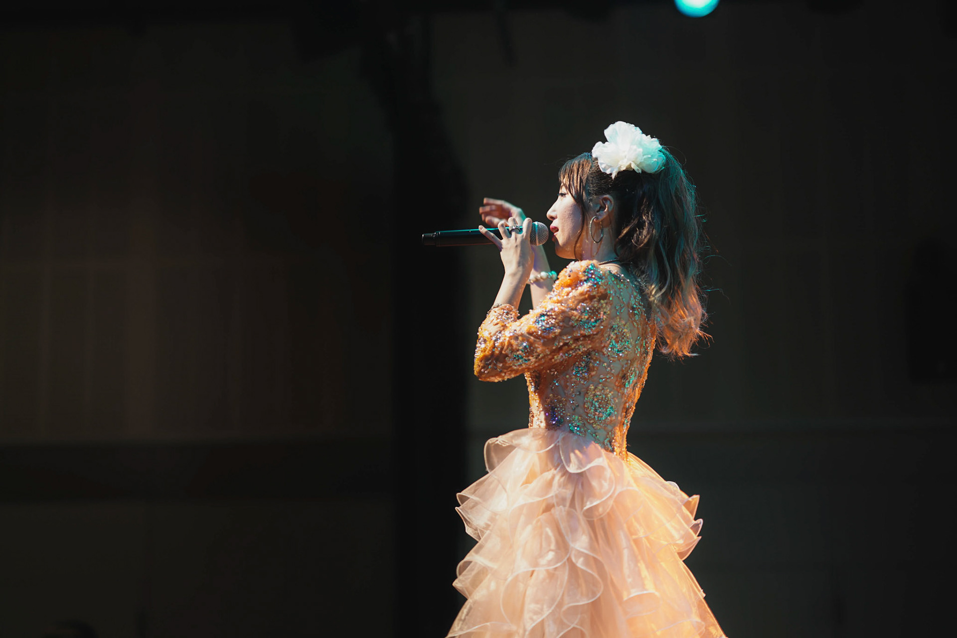 Portfolio of AKANO.Naoki - live