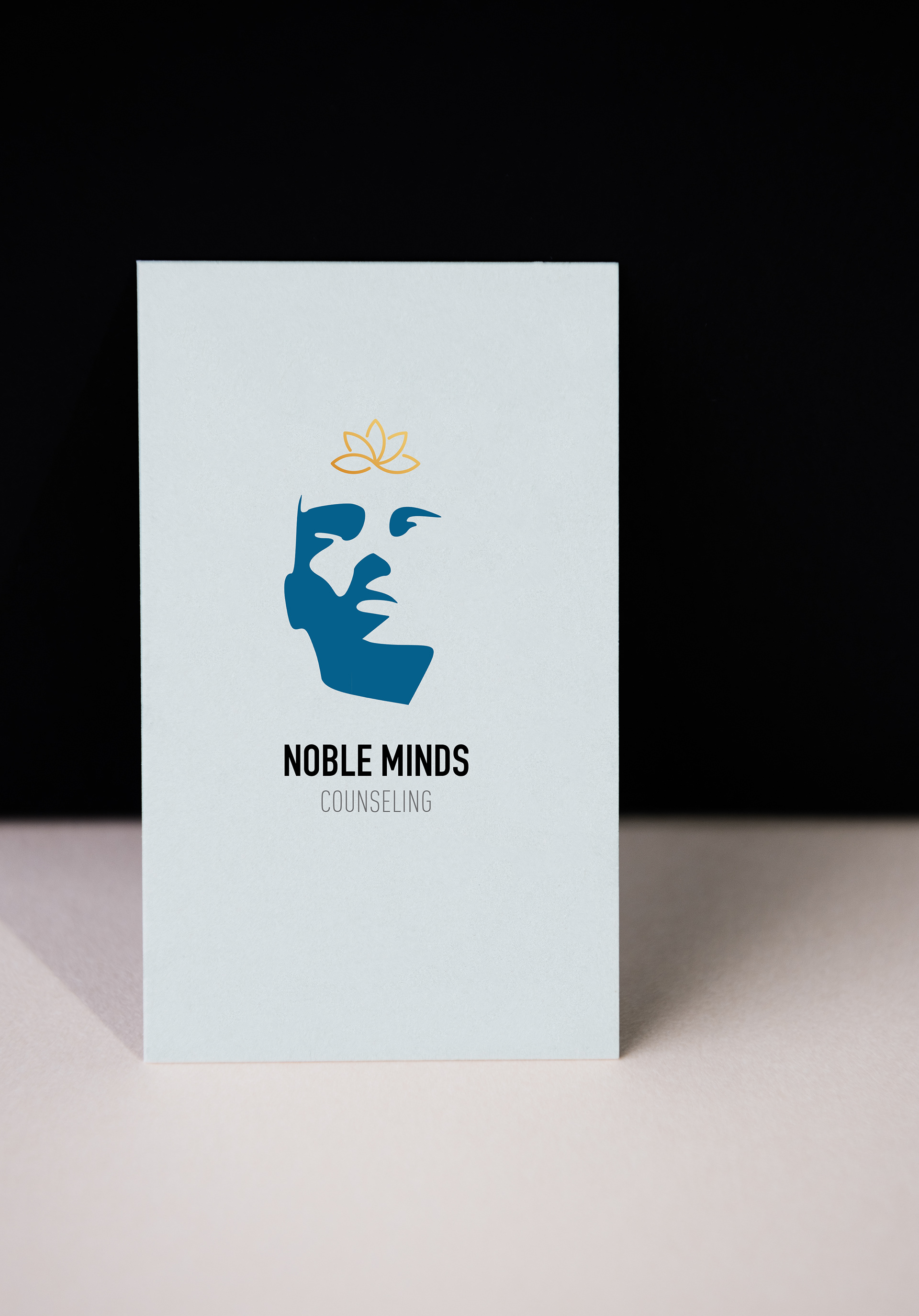 Rene V Steiner - Logo — Noble Minds