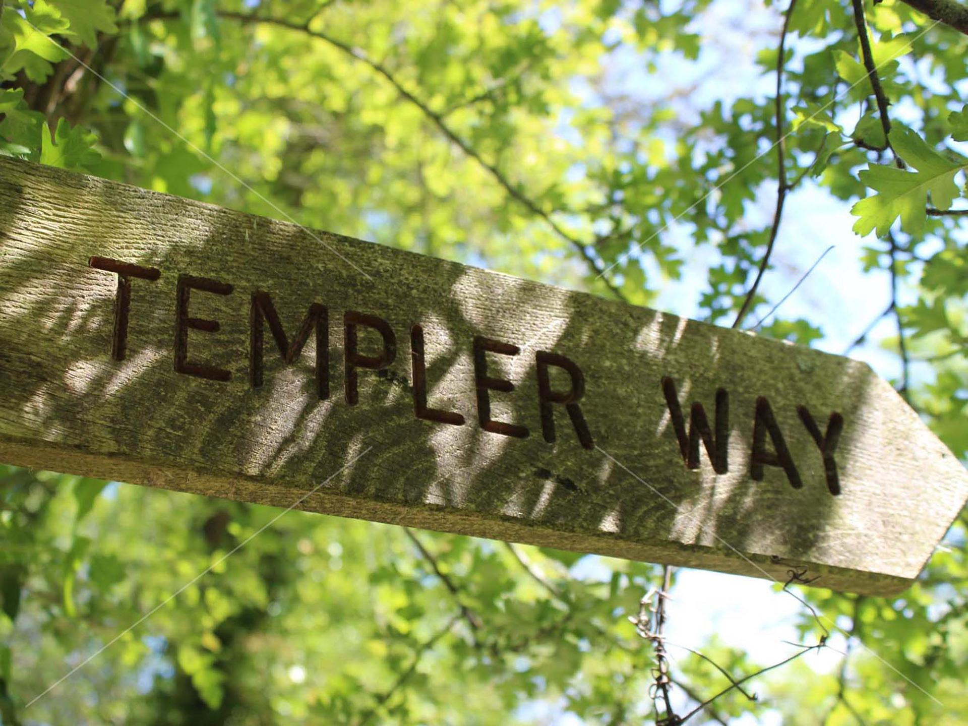 Photos of South Devon - Newton Abbot