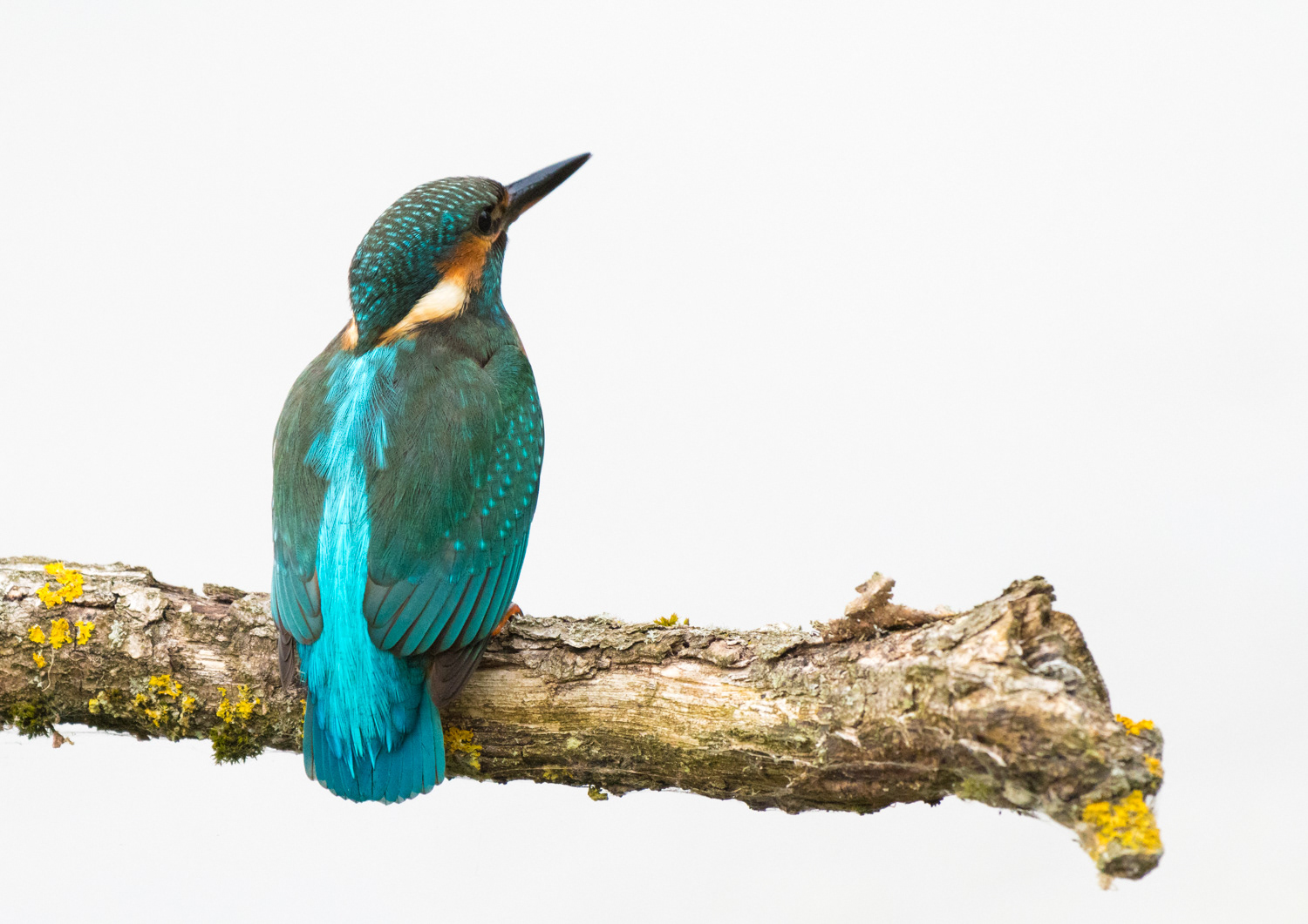 Andrew Boland, Landscape and Wildlife Photography - My Images