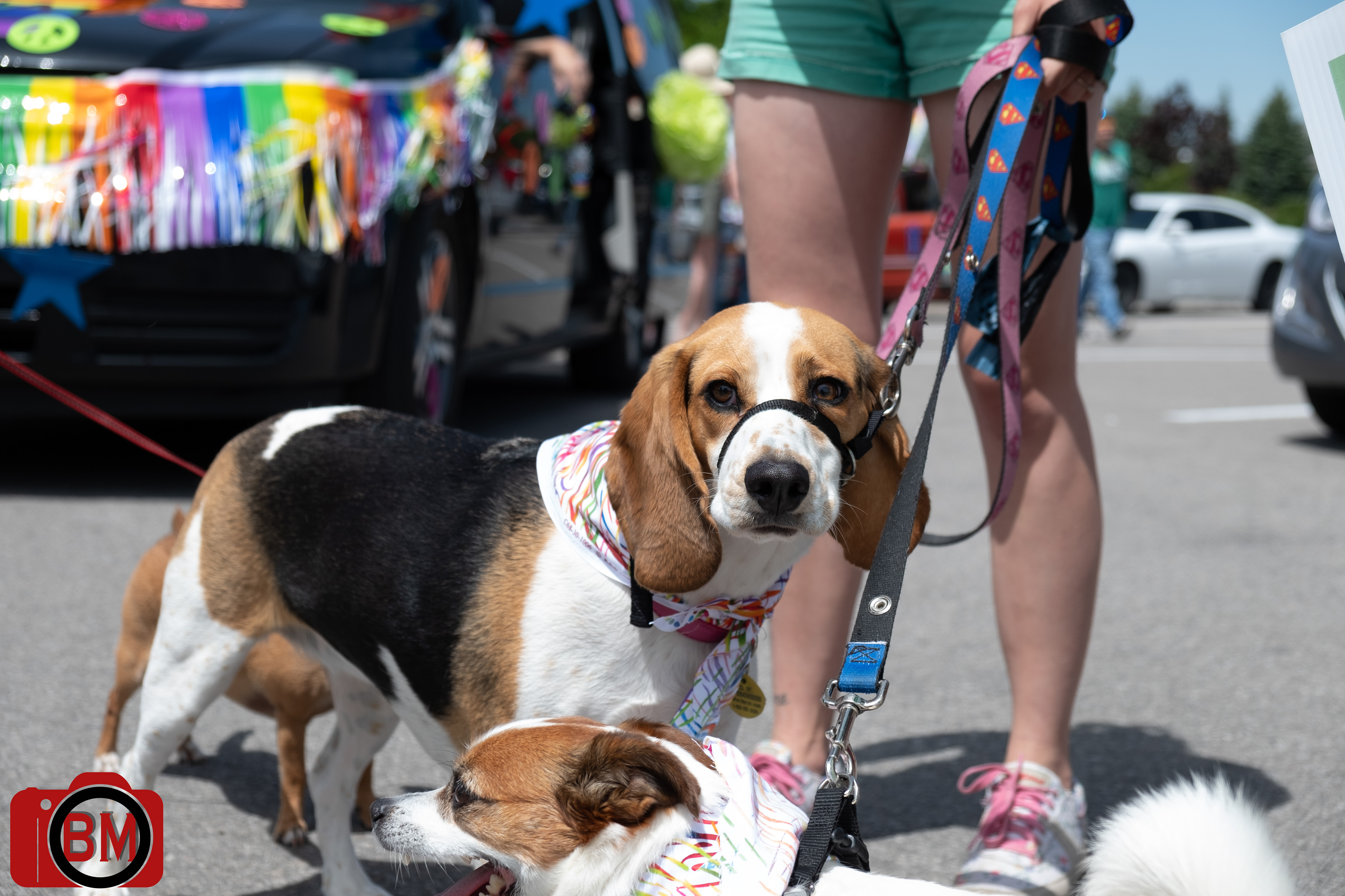 Bryson Murray - Barrie Pride